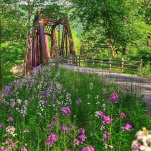 Pine Creek Gorge Things to Do | Slate Run | PA Grand Canyon Rentals