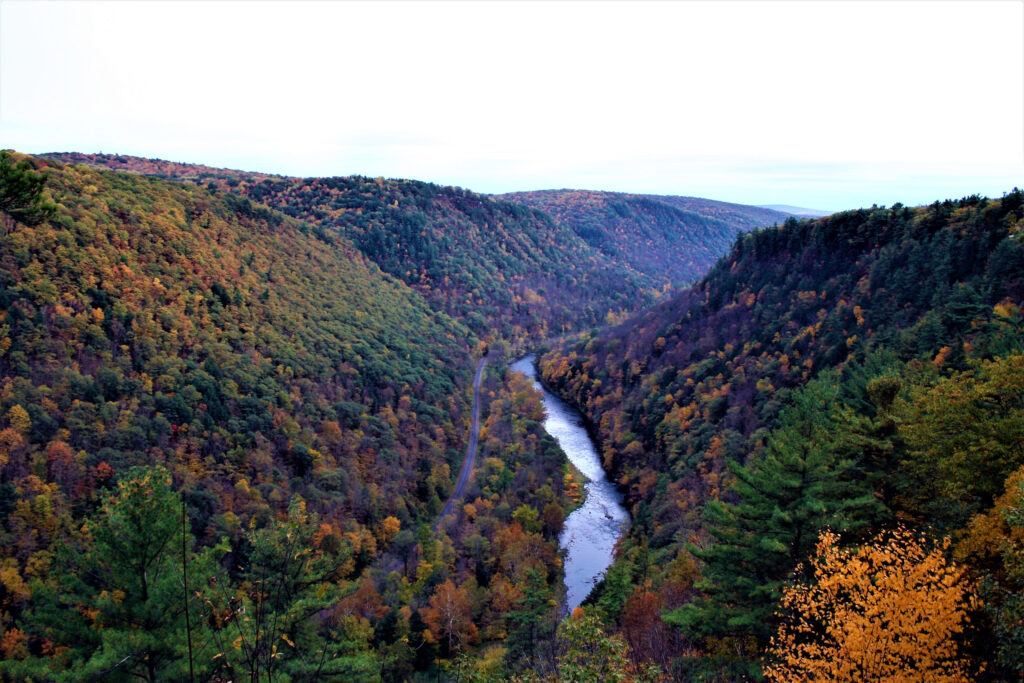 Slate Run Pa Land For Sale at Shawna James blog